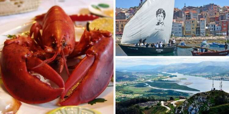 La Festa da Langosta más famosa de toda Galicia desvela novedades para ...