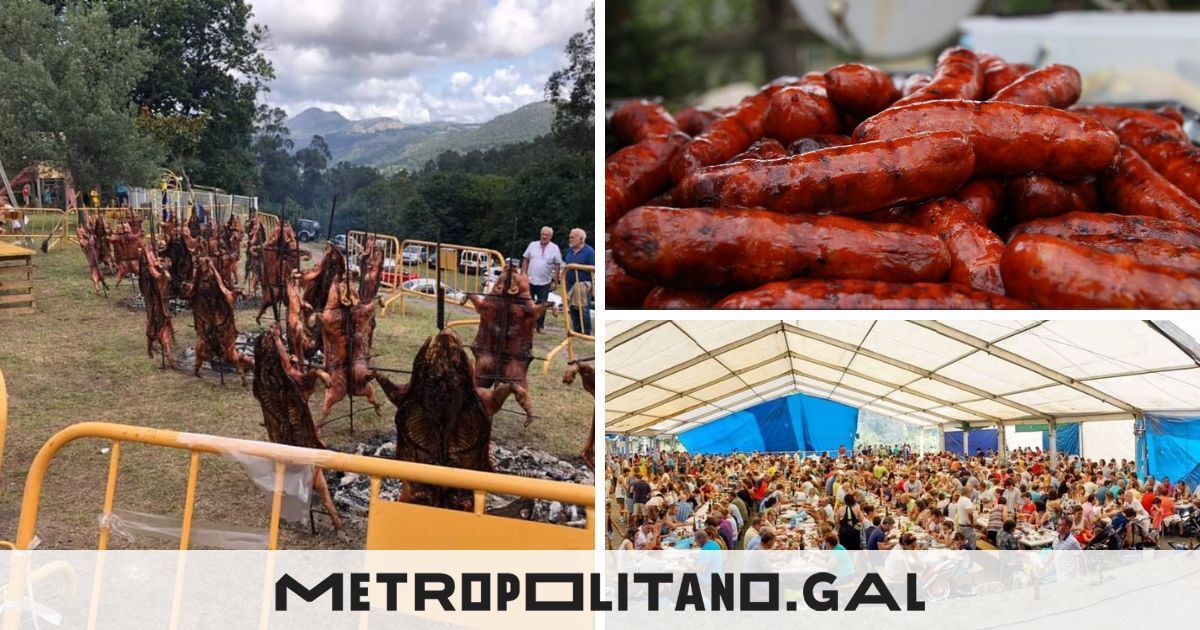 Una fiesta gastronómica para descubrir las delicias del Porco de Couso ...